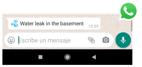 How to send Emoticons with the API – TextMeBot WhatsApp API